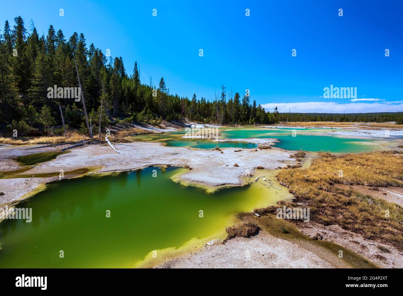 Crackling Lake in Norris Geyser Basin Yellowstone National Park ...
