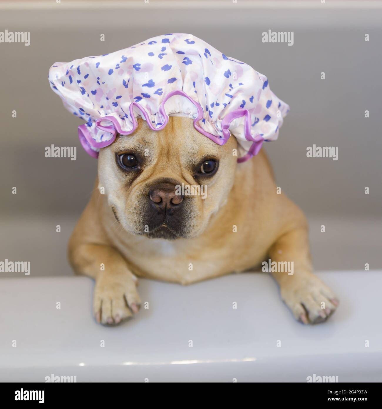 Shower cap hi-res stock photography and images - Alamy