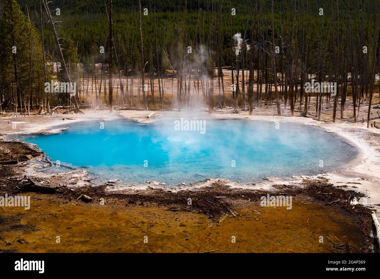 Cistern Spring in Norris Geyser Basin, Yellowstone National Park Stock ...