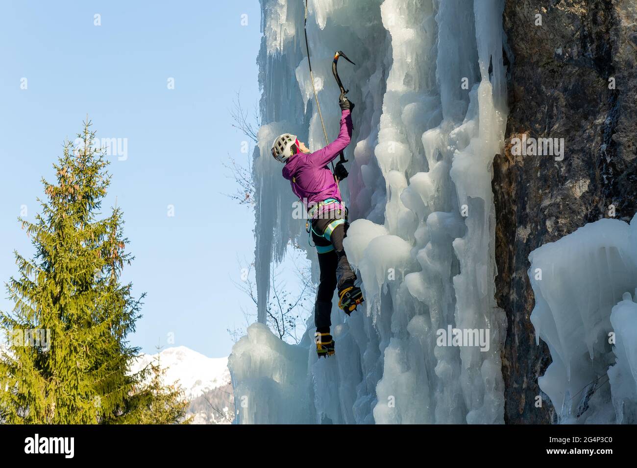 Female ice climber in traction position, swinging ice axes overhead and ...