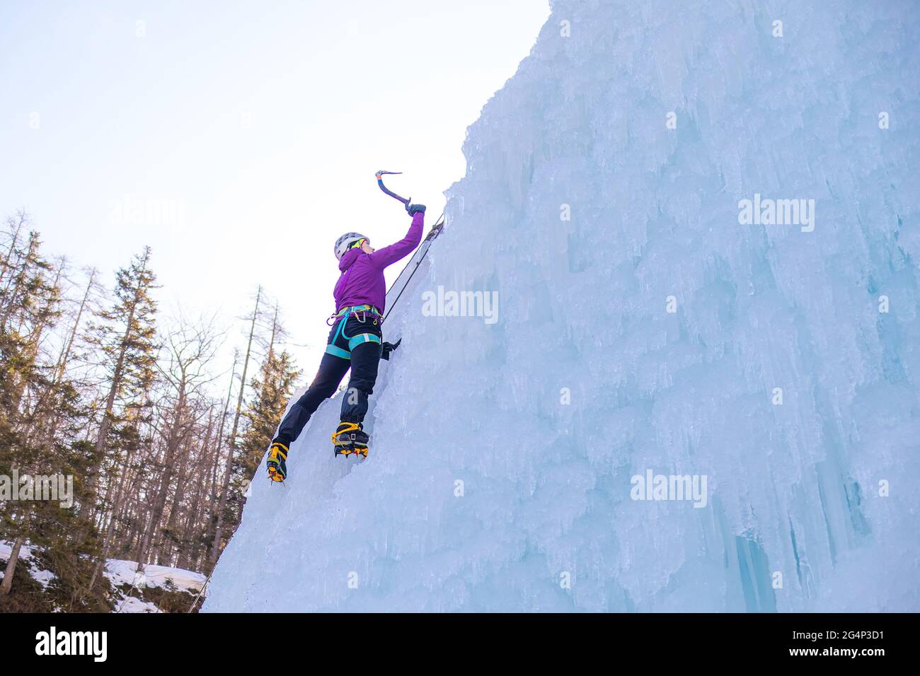 Female ice climber silhouette swinging ice axes on her way up vertical ...