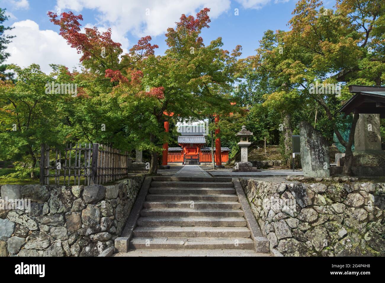 Entrance with torri gate sourrounded by autumn colored maple trees at ...