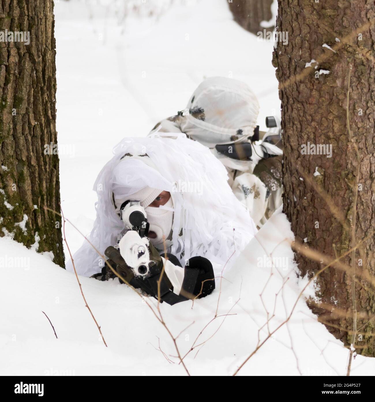 Snipers in position between trees during a sniper training class ...