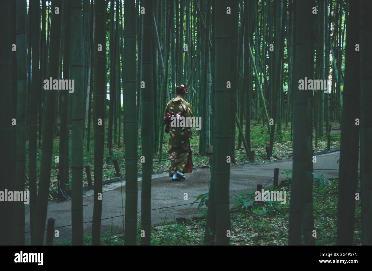 Arashiyama kimono forest hi-res stock photography and images - Alamy