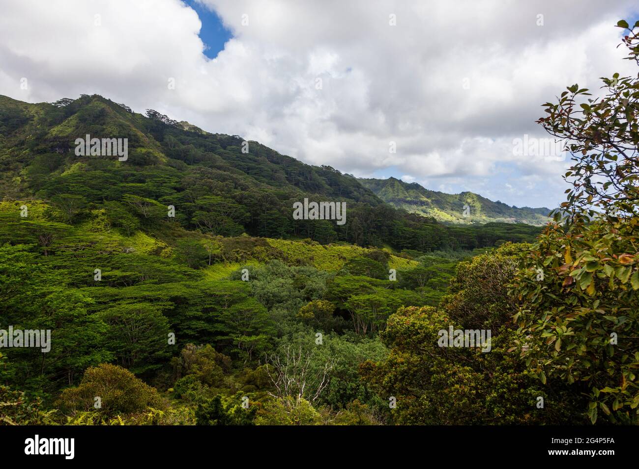 View of the MAKALEHA MOUNTAINS from the KUILAU RIDGE TRAIL - KAUAI ...