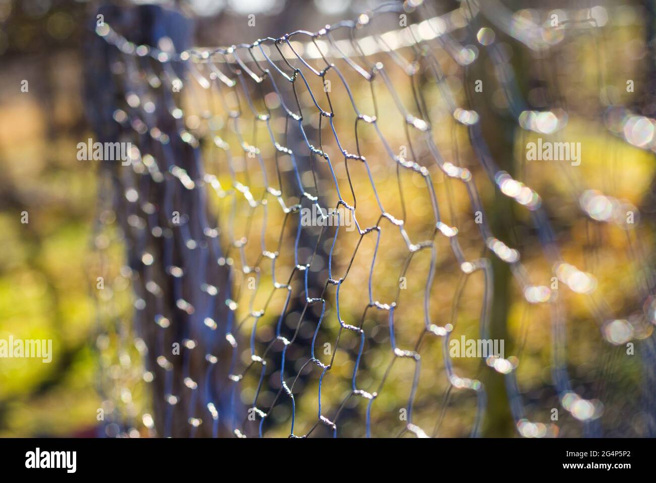A selective focus of a metal fence outdoors for wallpaper and ...