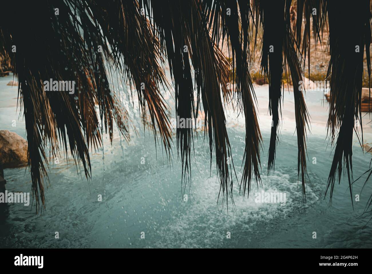 Tree branches hanging over a rocky river Stock Photo - Alamy
