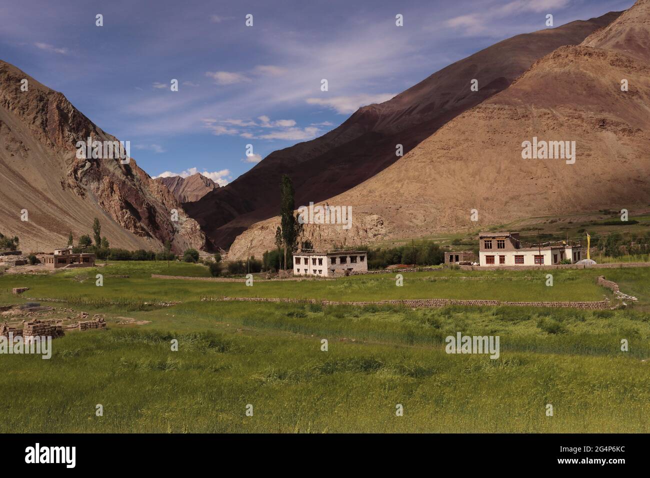 White buildings in green field with mountains under the sky Stock Photo ...