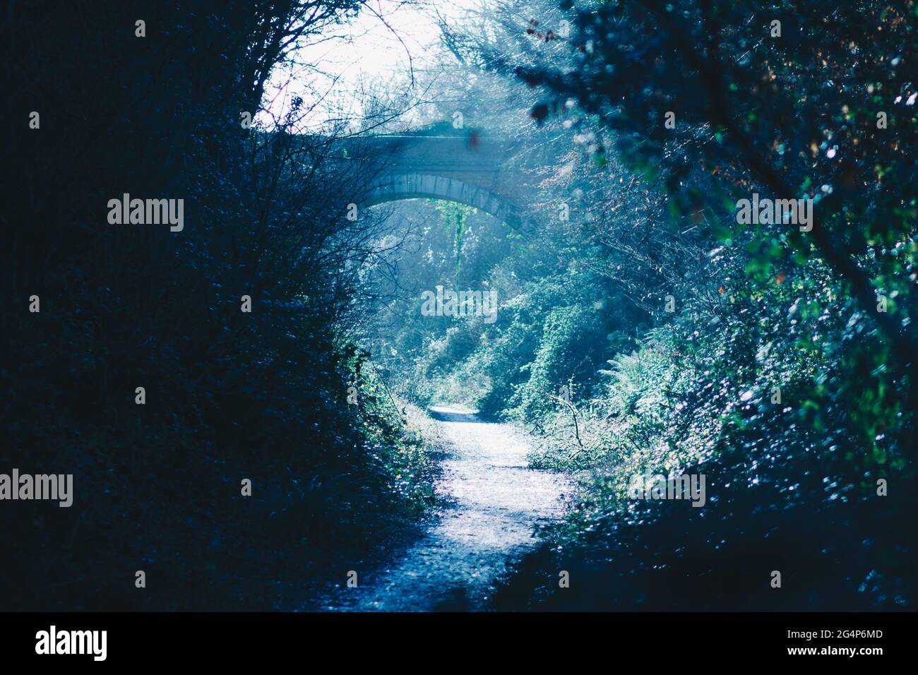Magical shot of a narrow stream going under the Besleti bridge in ...