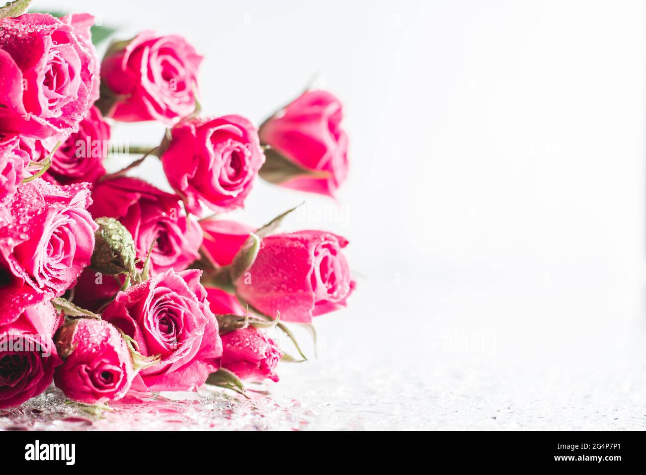 Blurred creative background of pink rose flowers. Partially defocused ...
