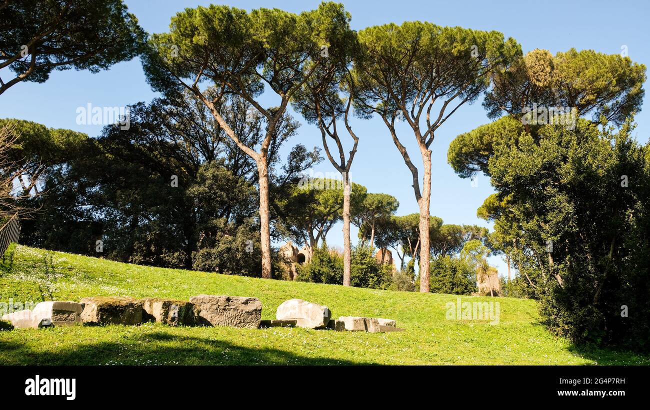 Rome, Colosseum's Archaeological Park. Gigantic stone pines guarding ...