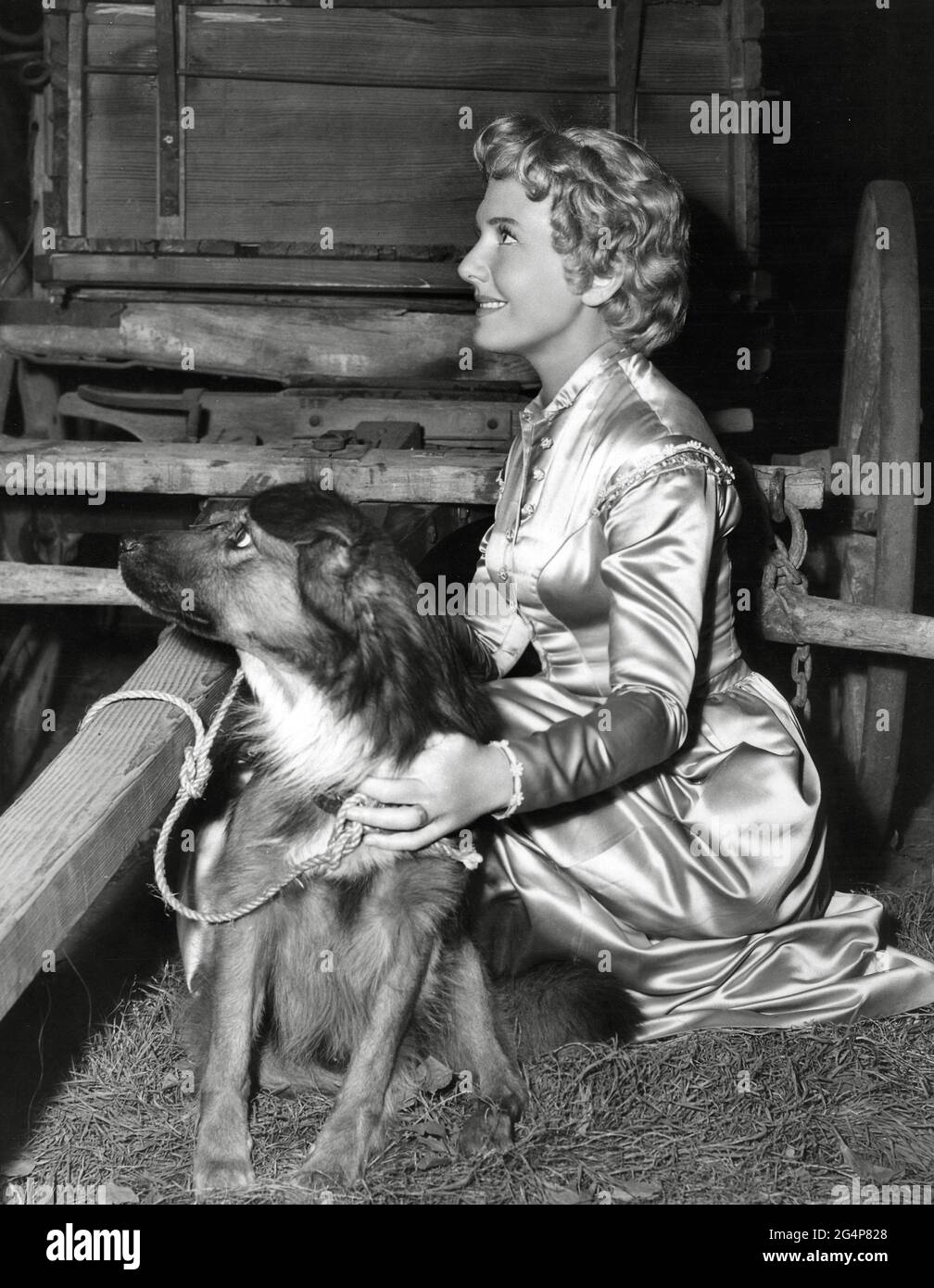 Shane film 1953 hi-res stock photography and images - Alamy