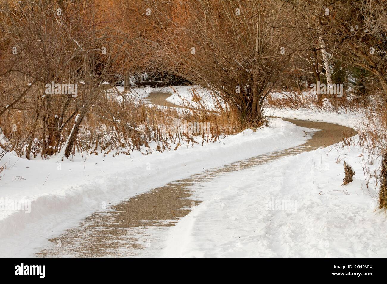 Empty pathway through our park hi-res stock photography and images - Alamy