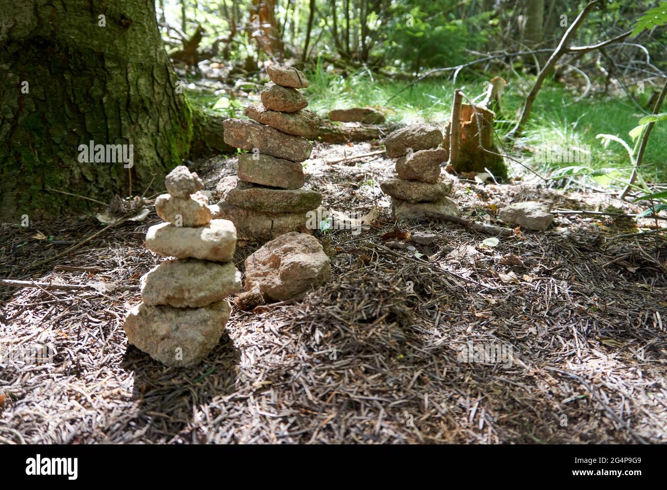 Closeup of stacked stones on the ground in a forest covered in greenery ...