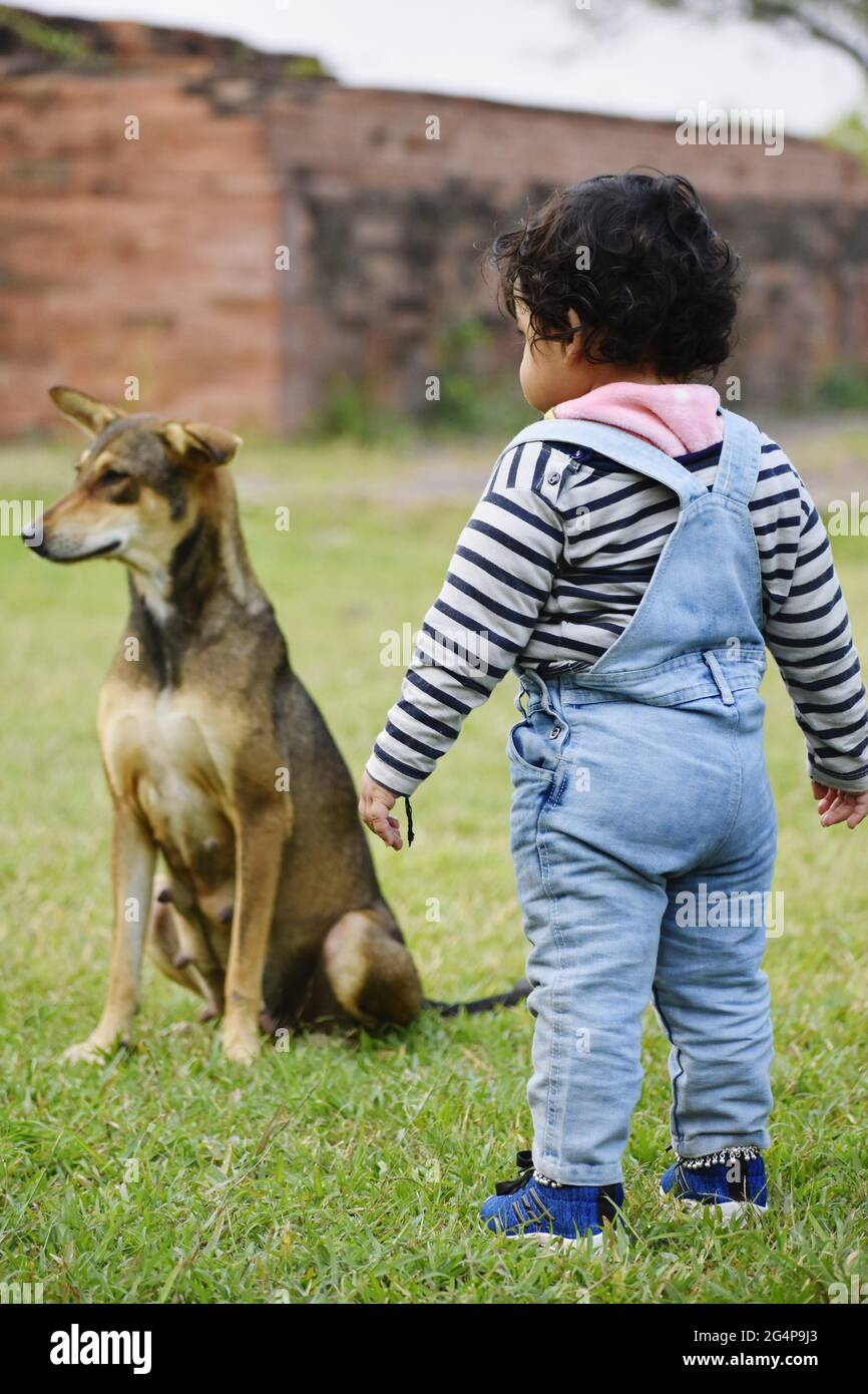 Dog guarding child hi-res stock photography and images - Alamy