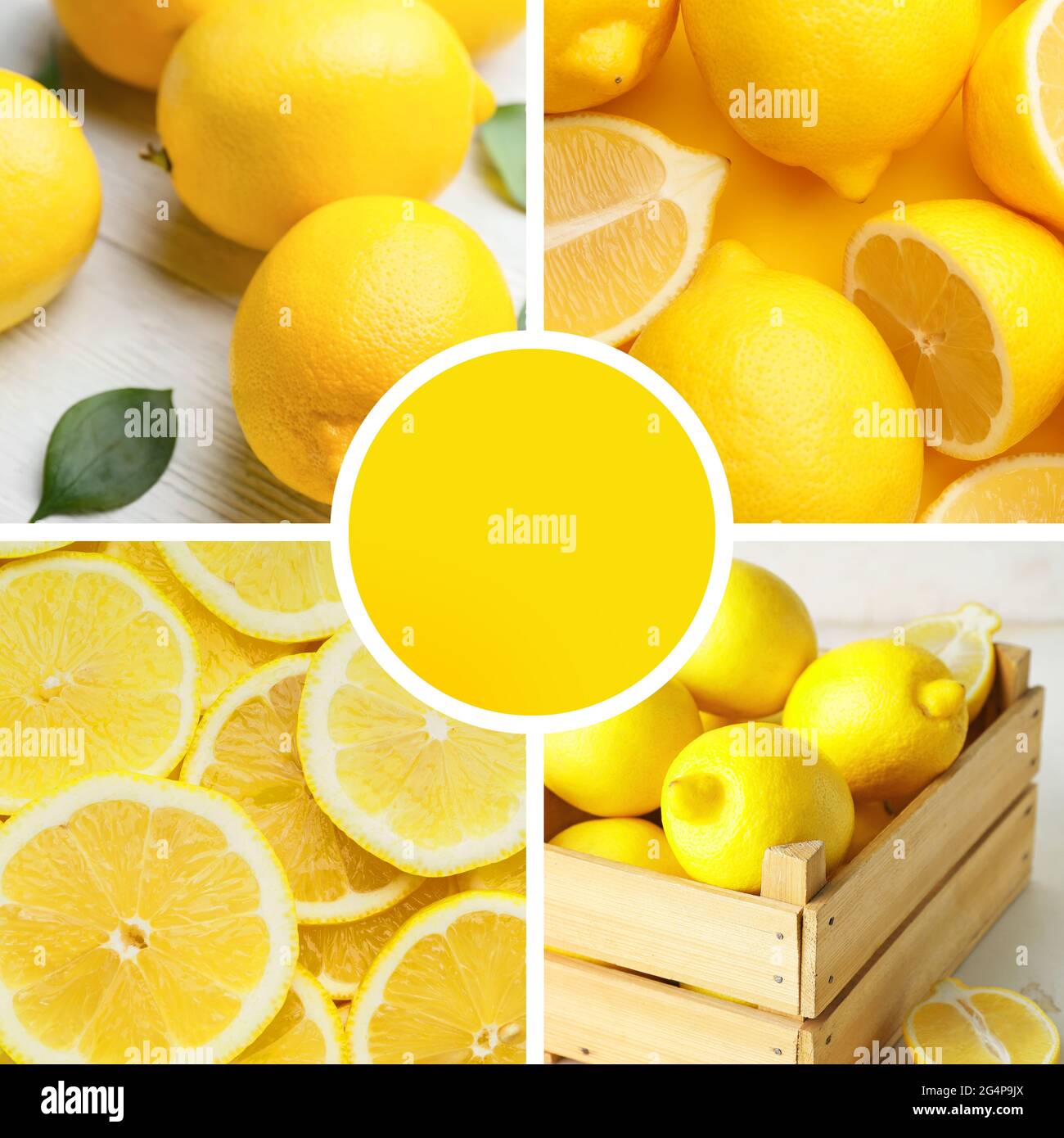 Collage of fresh lemons with color sample Stock Photo - Alamy