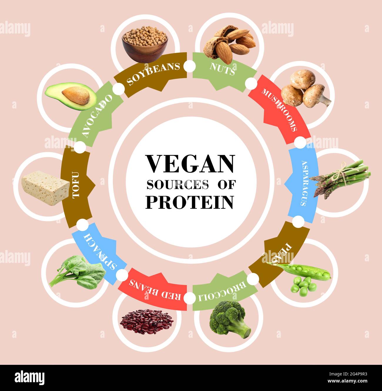 Sources of protein hi-res stock photography and images - Alamy