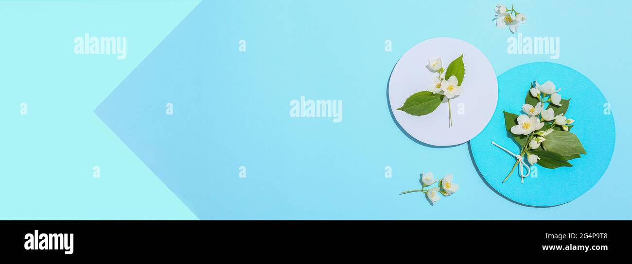 Beautiful jasmine flowers on color background with space for text Stock ...