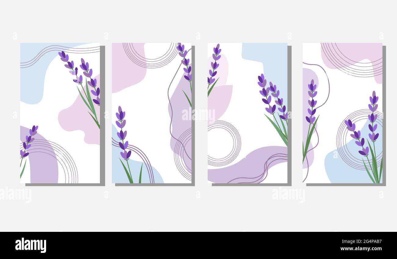 Set of backgrounds with lavender. Abstract template with spots and ...