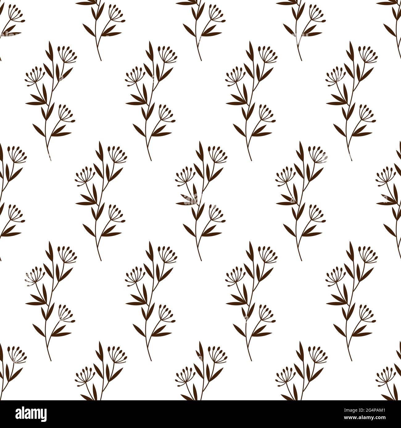 Meadow grass pattern. Vector illustration isolated on white background ...