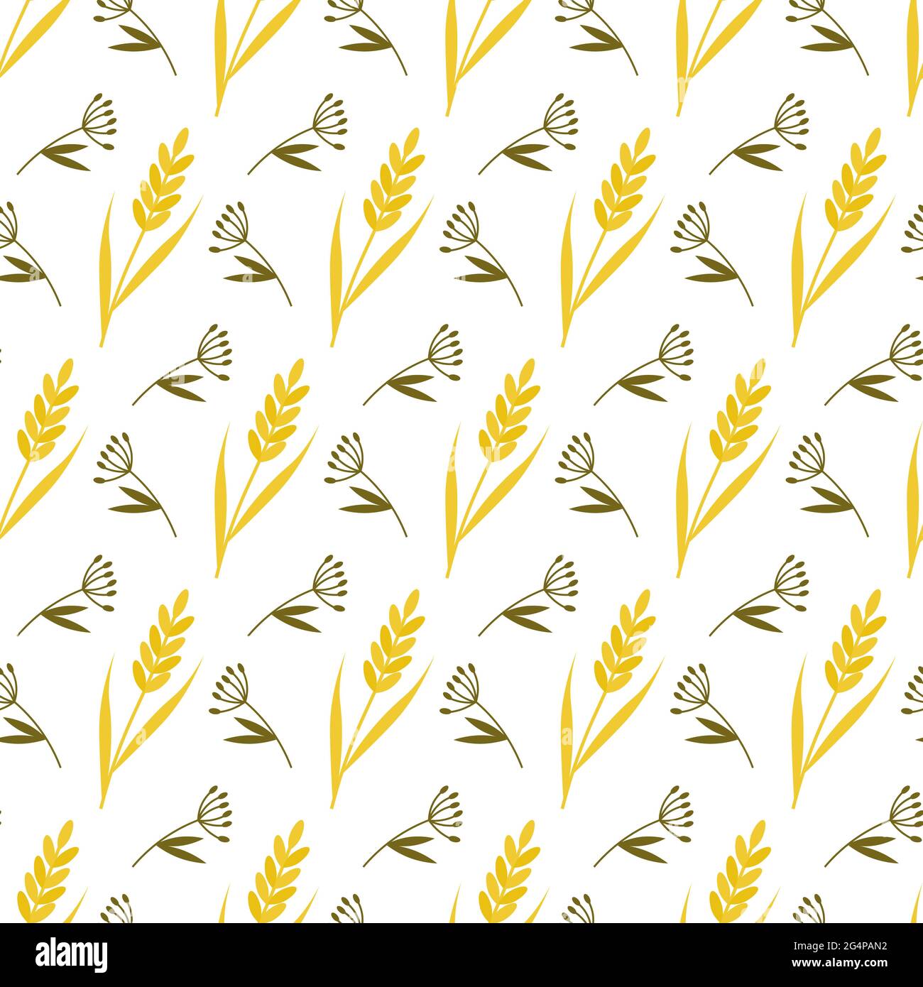 Pattern with meadow grass and yellow ears. Vector illustration isolated ...