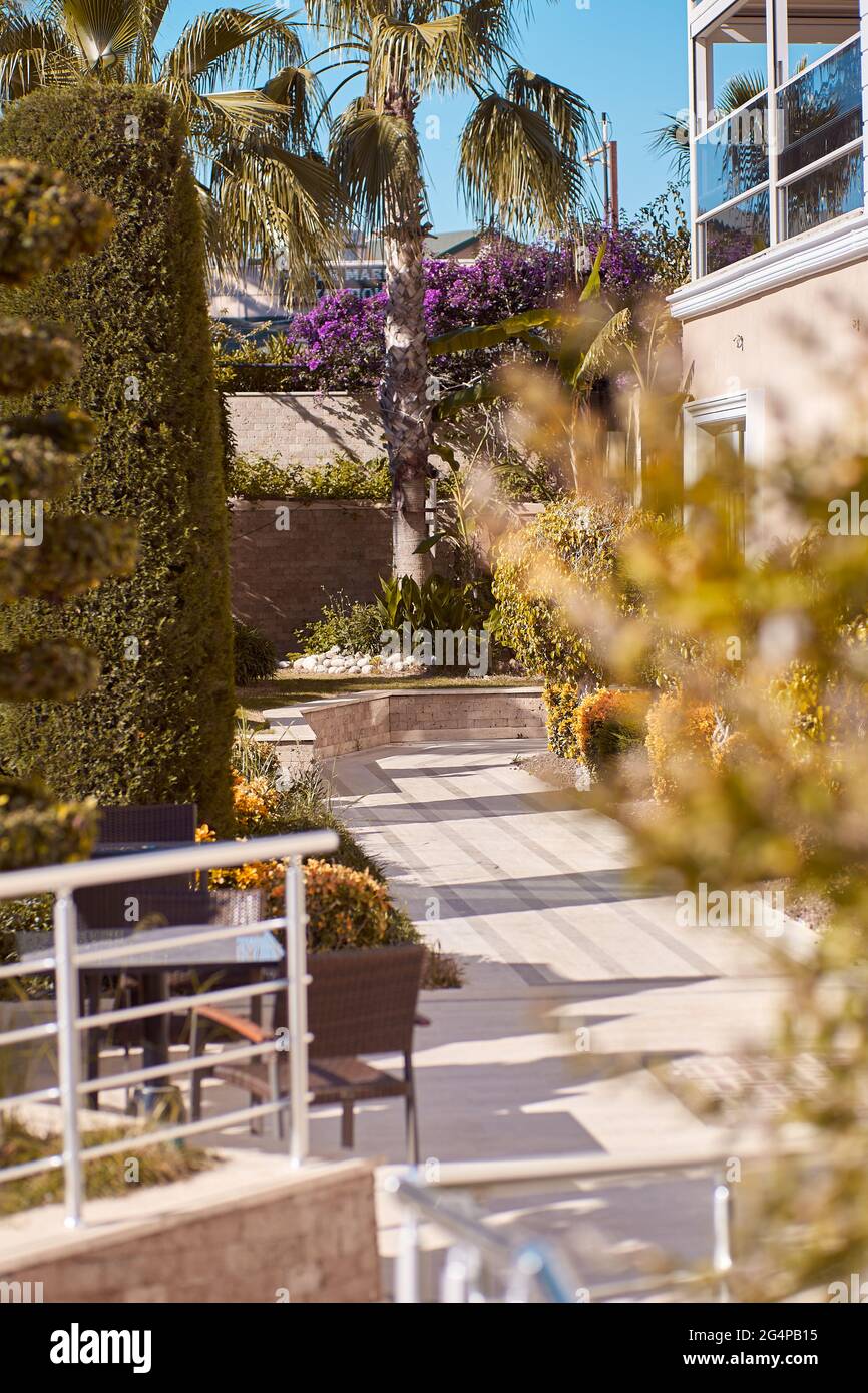 Environmental art: decorative tropical tree with sunlight. Decorative ...