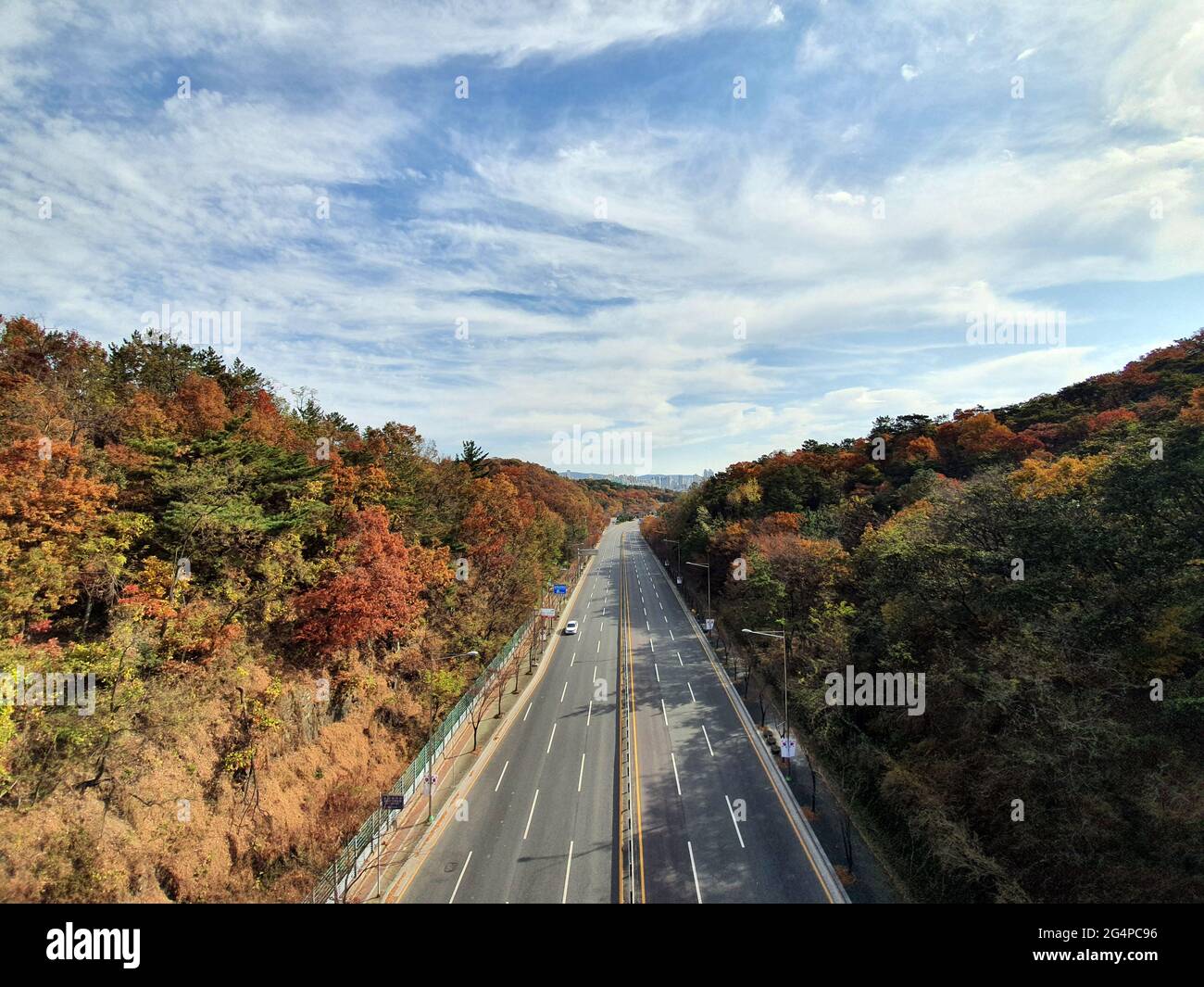 Forrest highway hi-res stock photography and images - Alamy