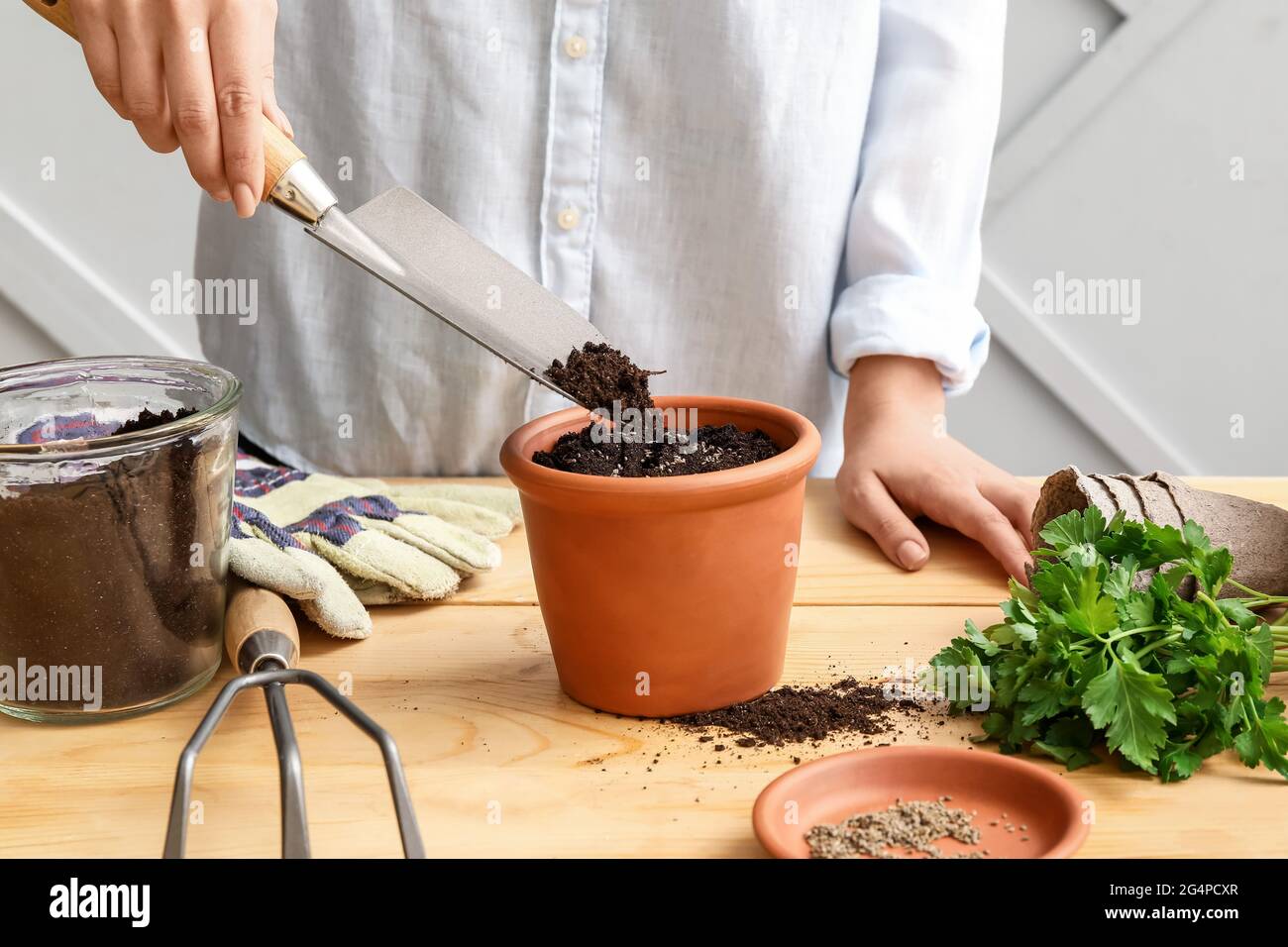 Woman planting herbs table hi-res stock photography and images - Alamy