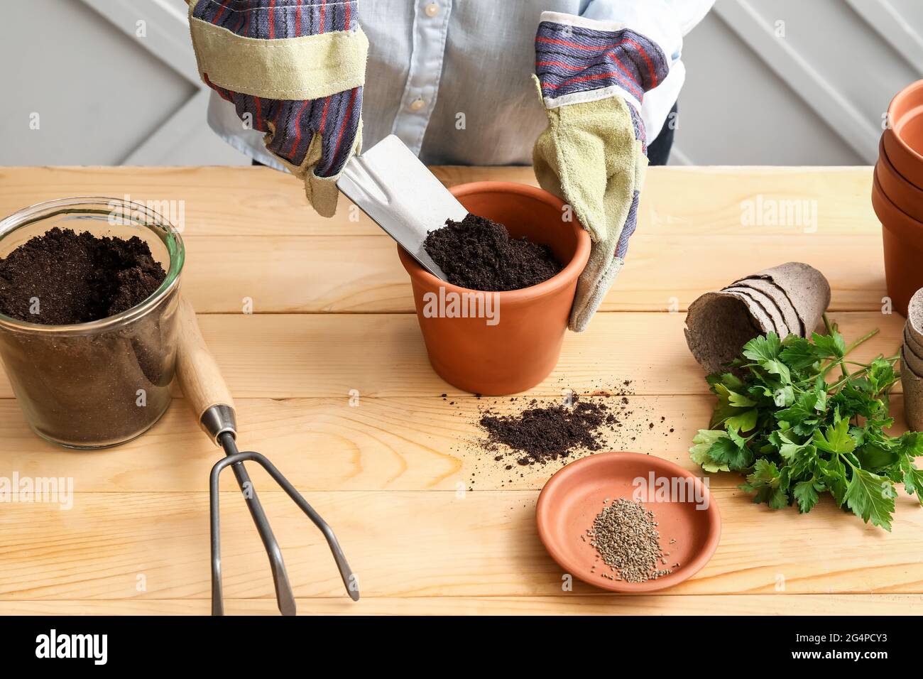 Woman filling pot soil hi-res stock photography and images - Alamy