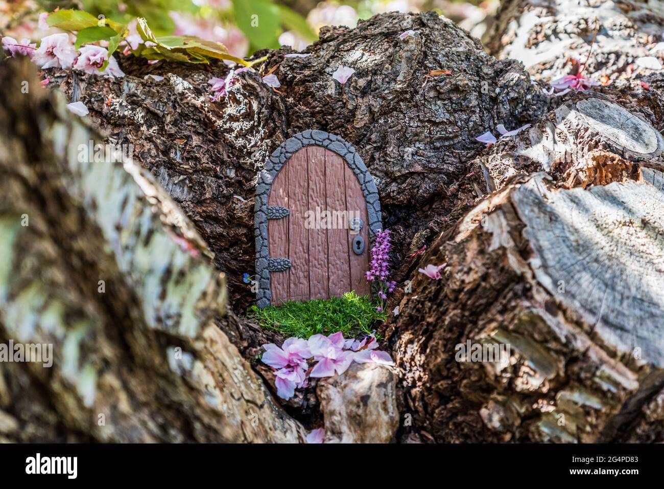 small doors made of polymer clay on cherry tree like a fairy house ...