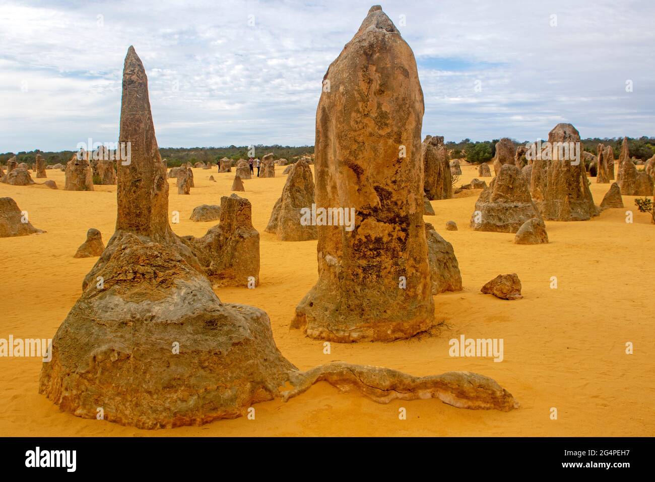 Nambung national park hi-res stock photography and images - Alamy