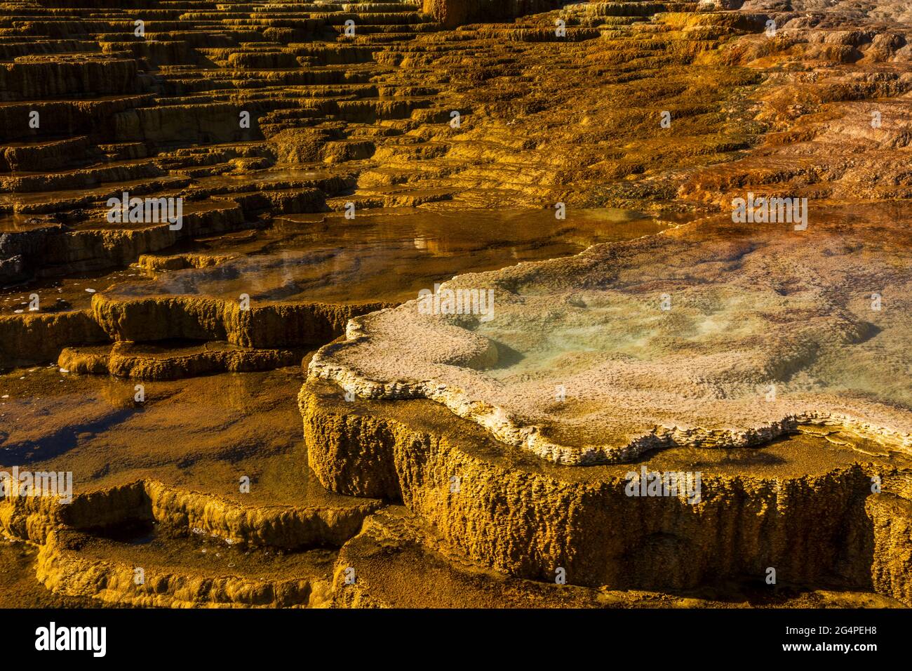 Mound Terrace in Mammoth Hot Springs Yellowstone National Park, Wyoming ...