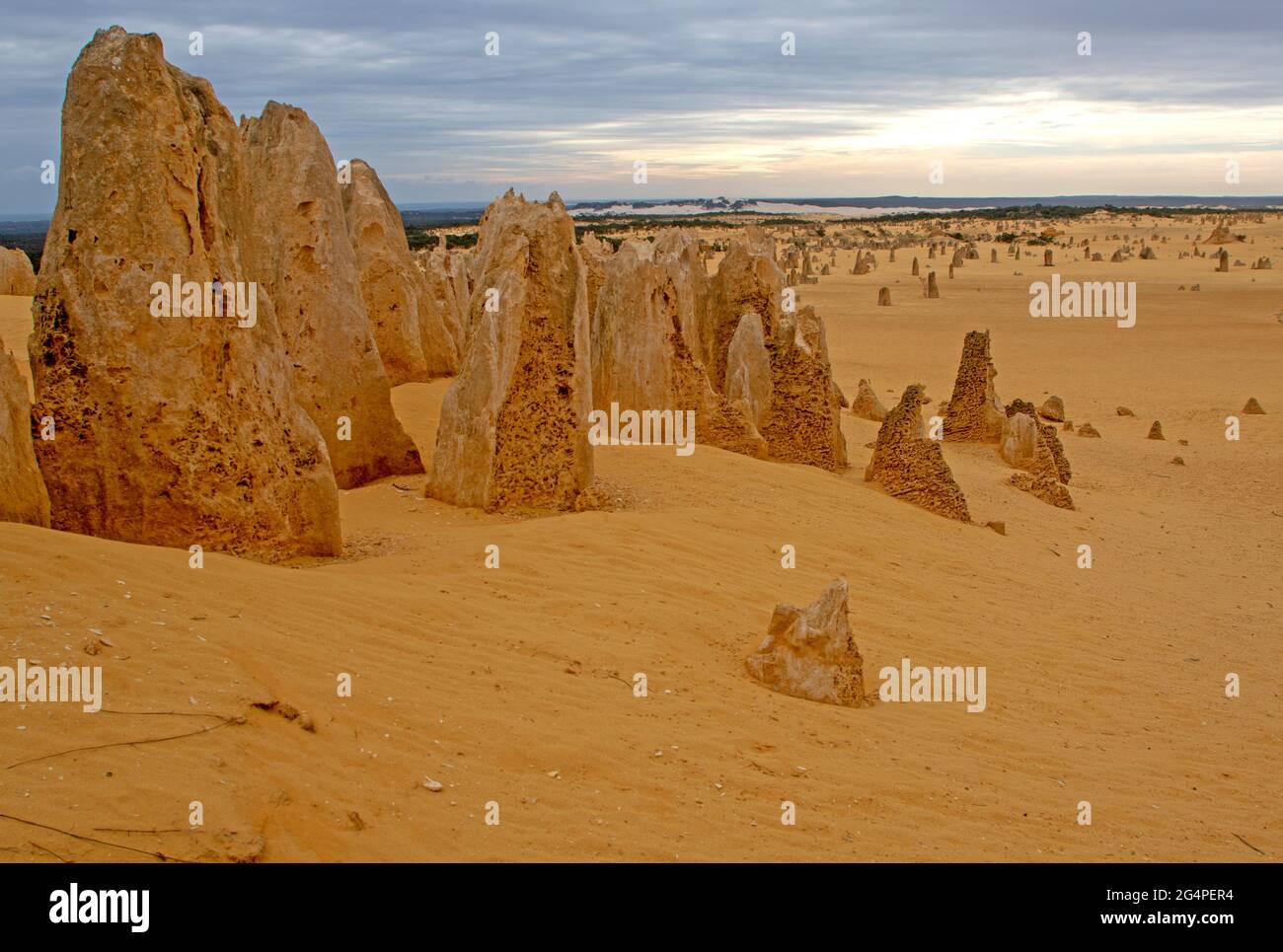 The Pinnacles, Nambung National Park Stock Photo - Alamy