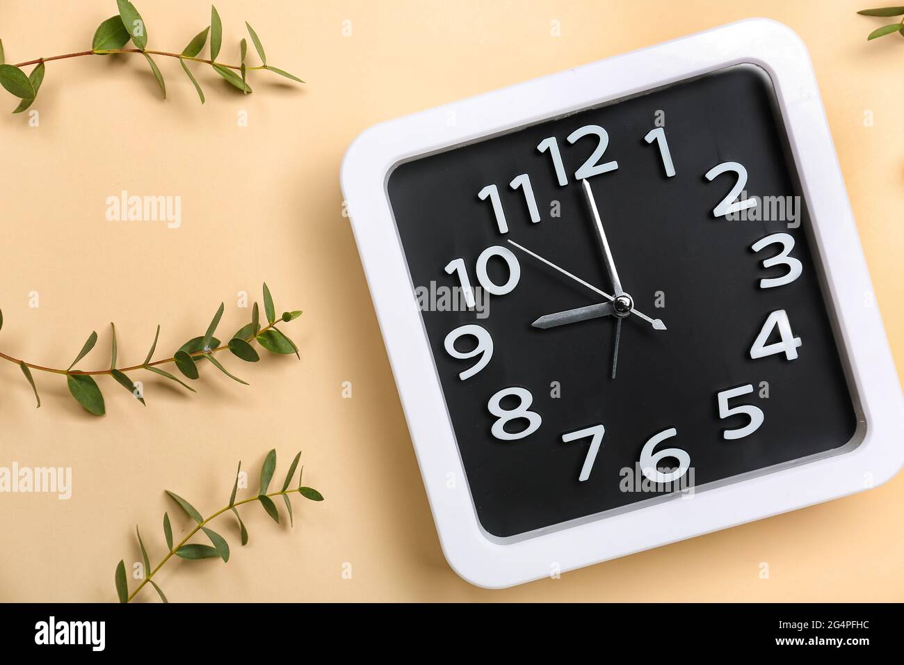 Stylish clock and green branches on color background Stock Photo - Alamy