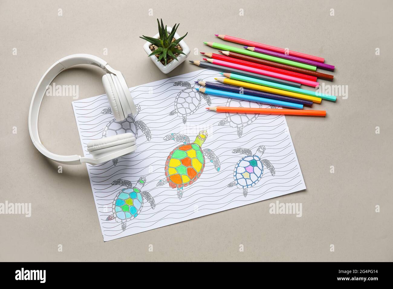 Turtle coloring sheet hi-res stock photography and images - Alamy