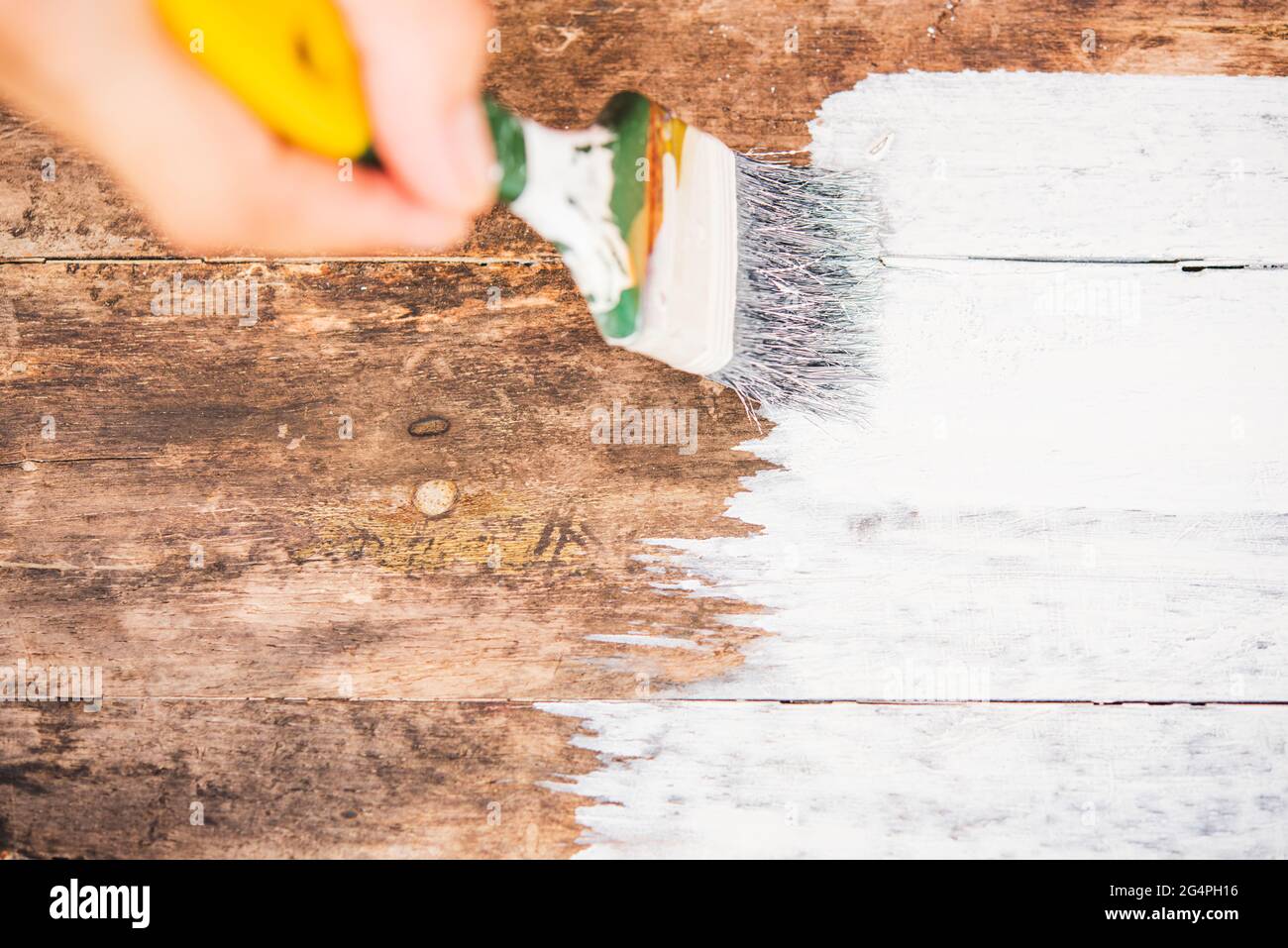 Restoration work old tree painting hi-res stock photography and images ...