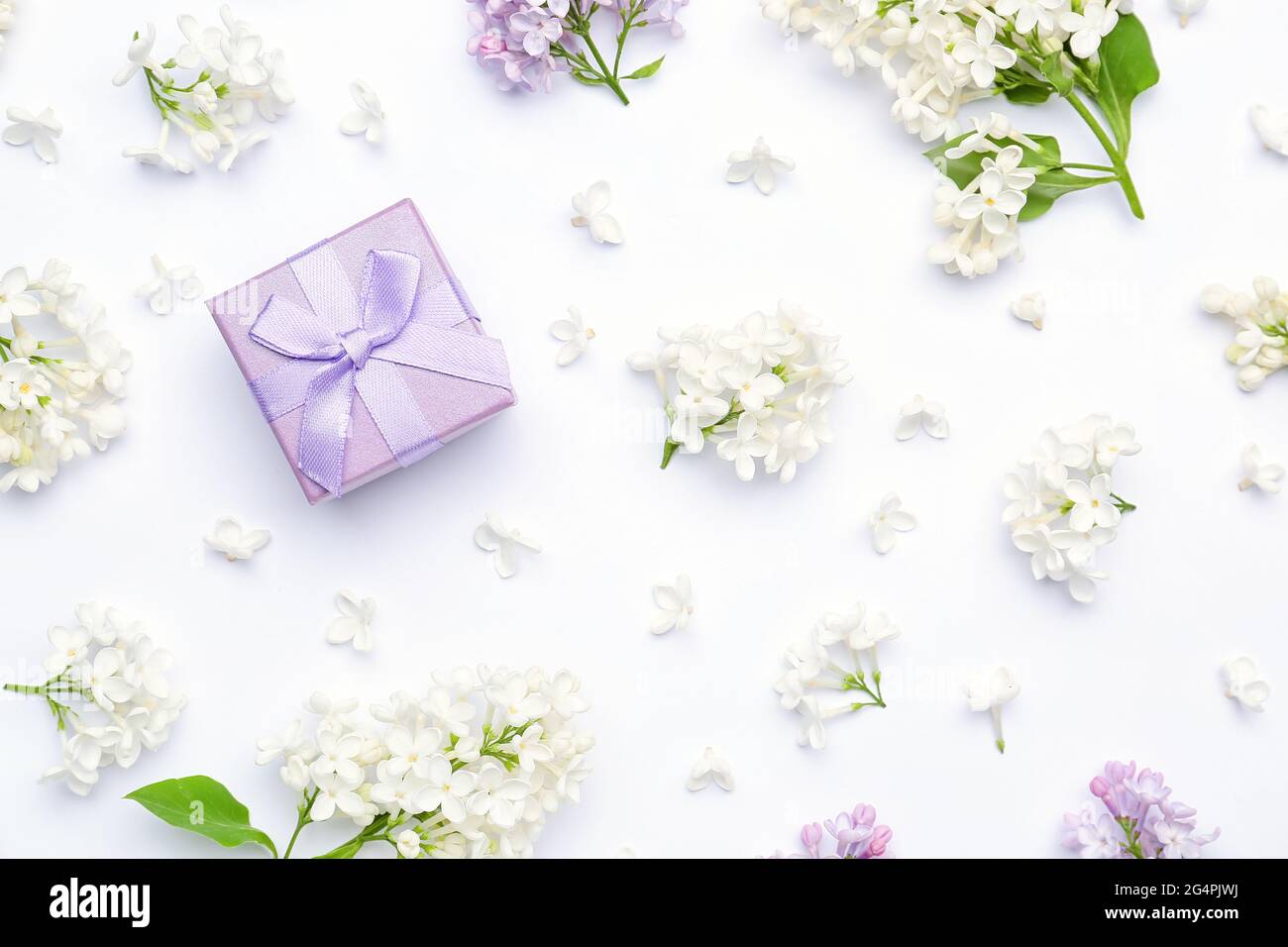 Beautiful lilac flowers and gift box on white background Stock Photo ...