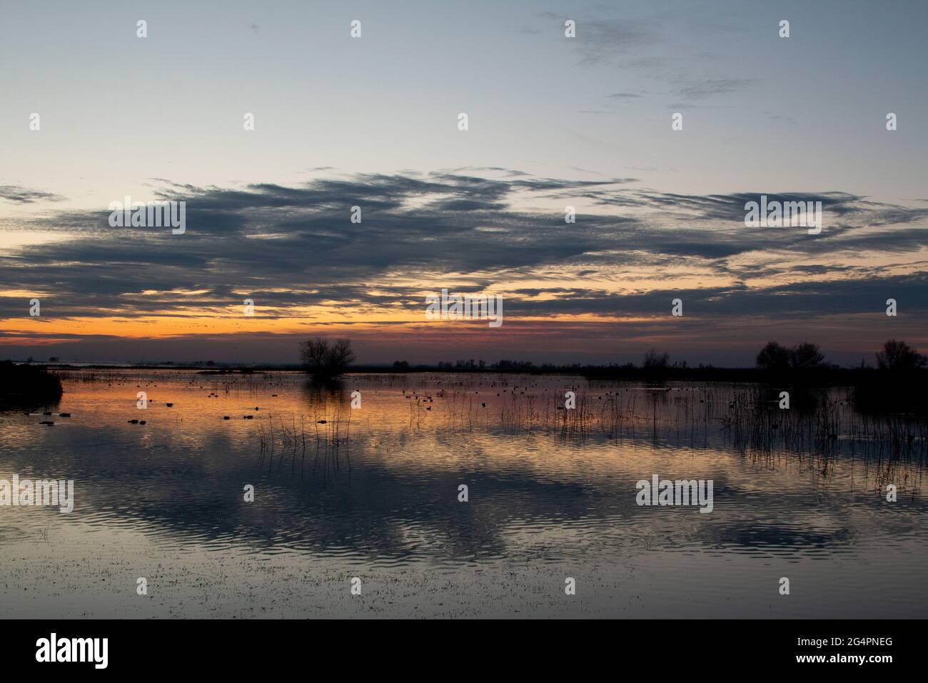 A colorful sunset settles over a freshwater marsh on the Merced ...