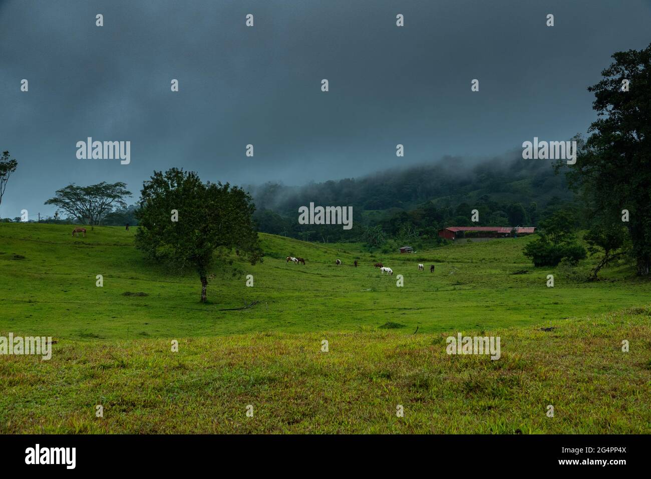 Costa Rica landscape Stock Photo - Alamy