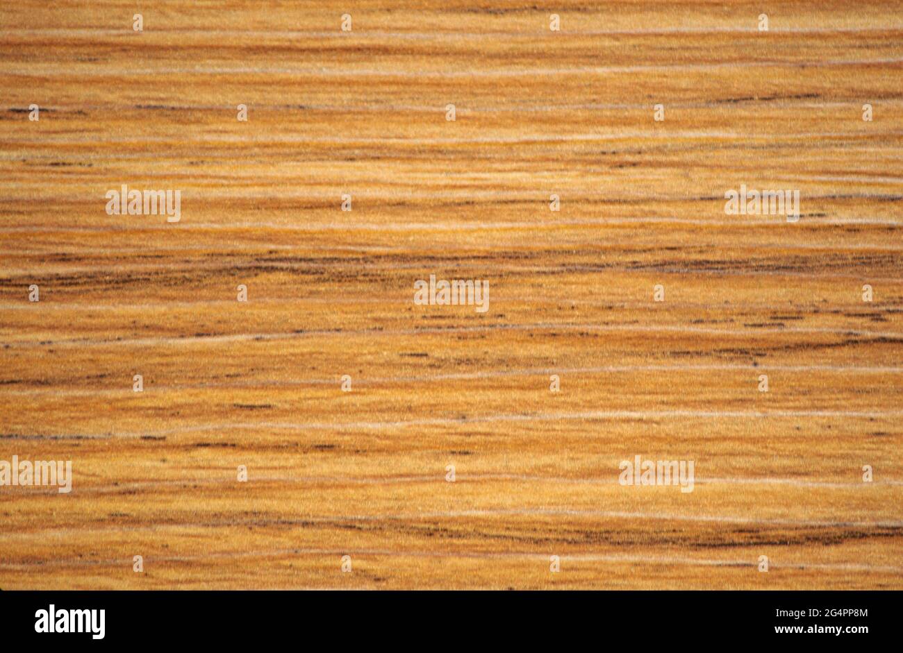 Dark alder, a flat surface of natural wood with a striped pattern ...