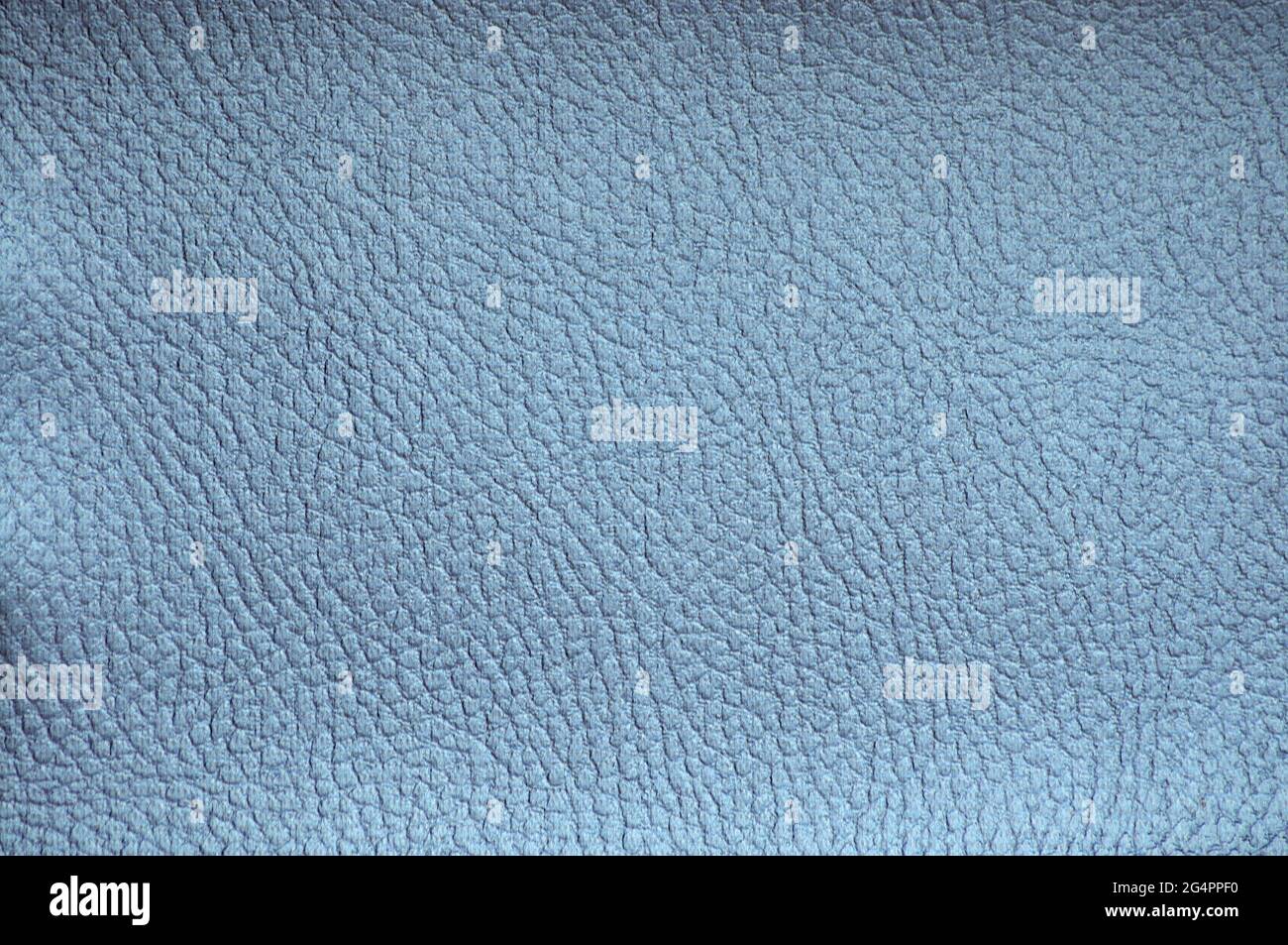 High-quality genuine leather, artificially dyed in a pale blue color ...