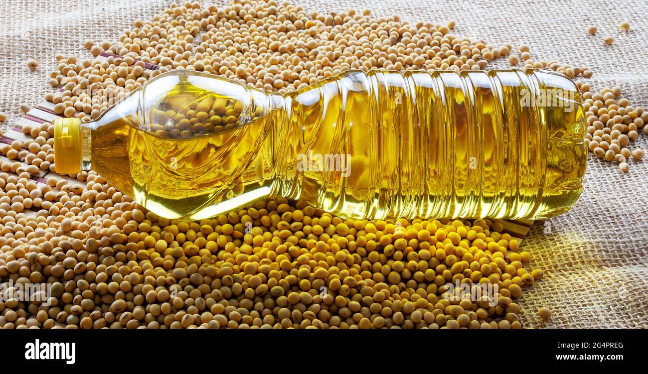 Soybean Oil Structure