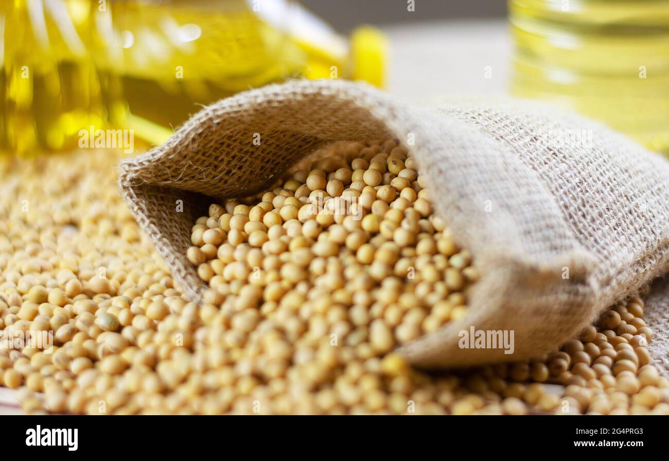 soybeans in a jute bag in a composition with soybean oil - 2021 soybean ...