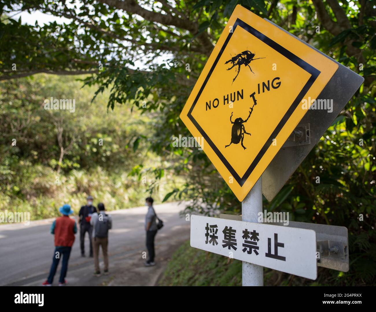 Sign warning against hunting and collecting beetles in the Yanbaru ...
