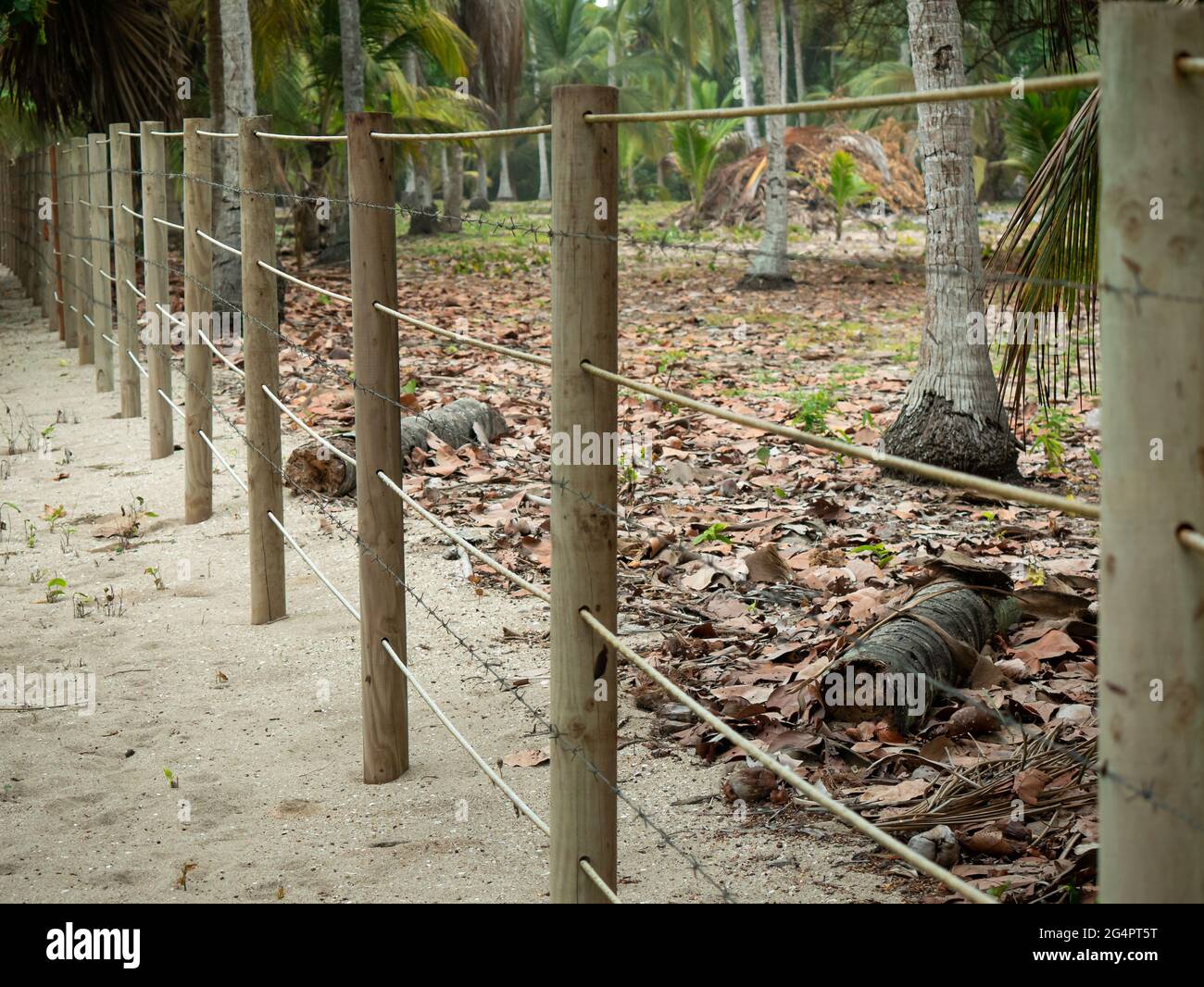 Fence Made of Bamboo Sticks and Barbed Wires Surrounding a Territory ...