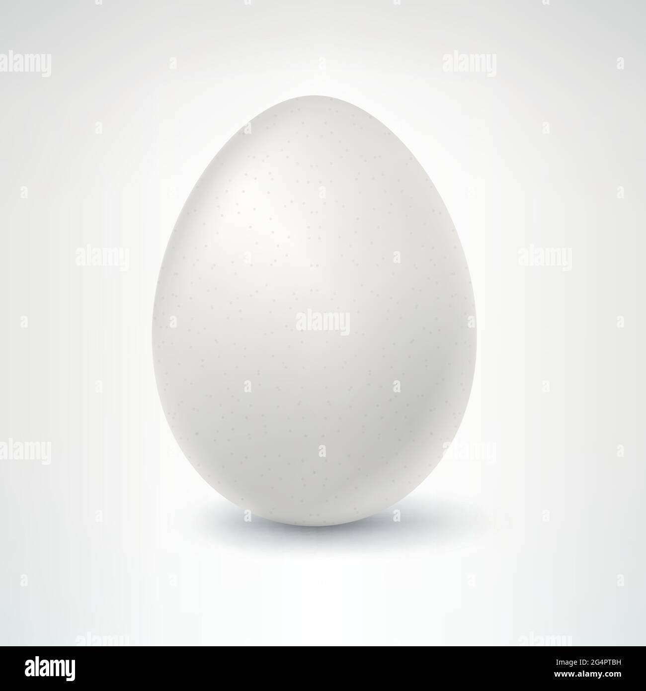 Egg isolated on white Stock Vector Images - Alamy
