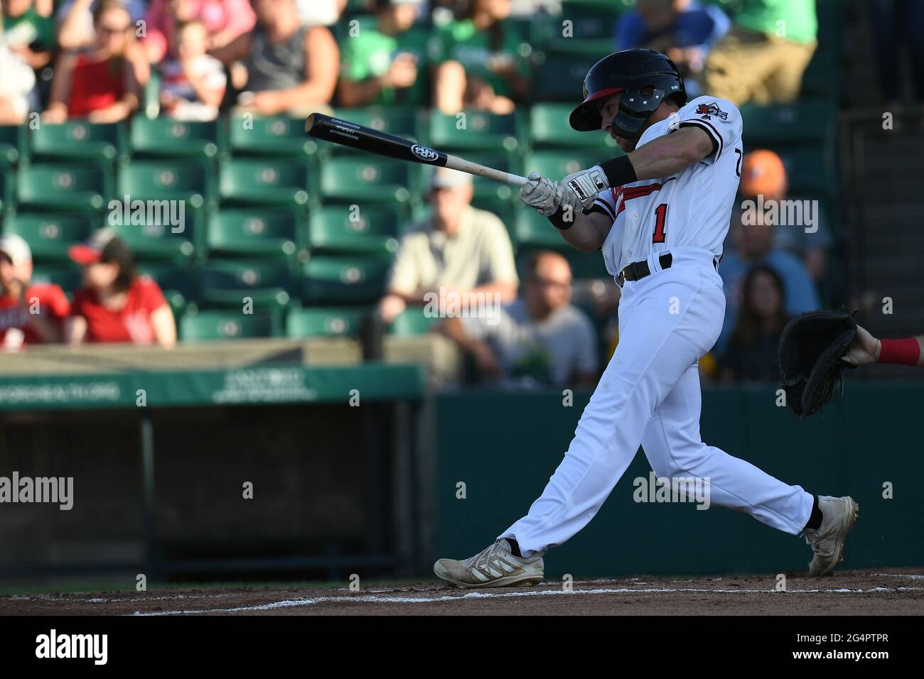 Will zimmerman hi-res stock photography and images - Alamy