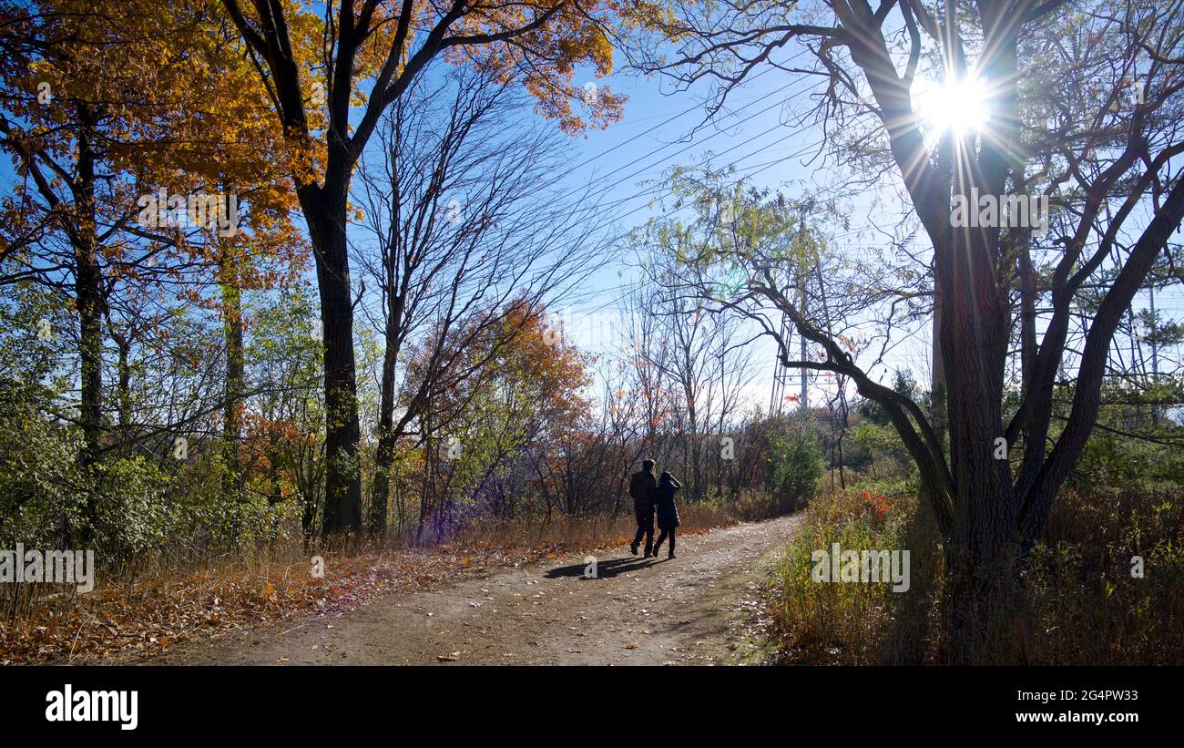 Couple hiking in the forest with lens flare Stock Photo - Alamy