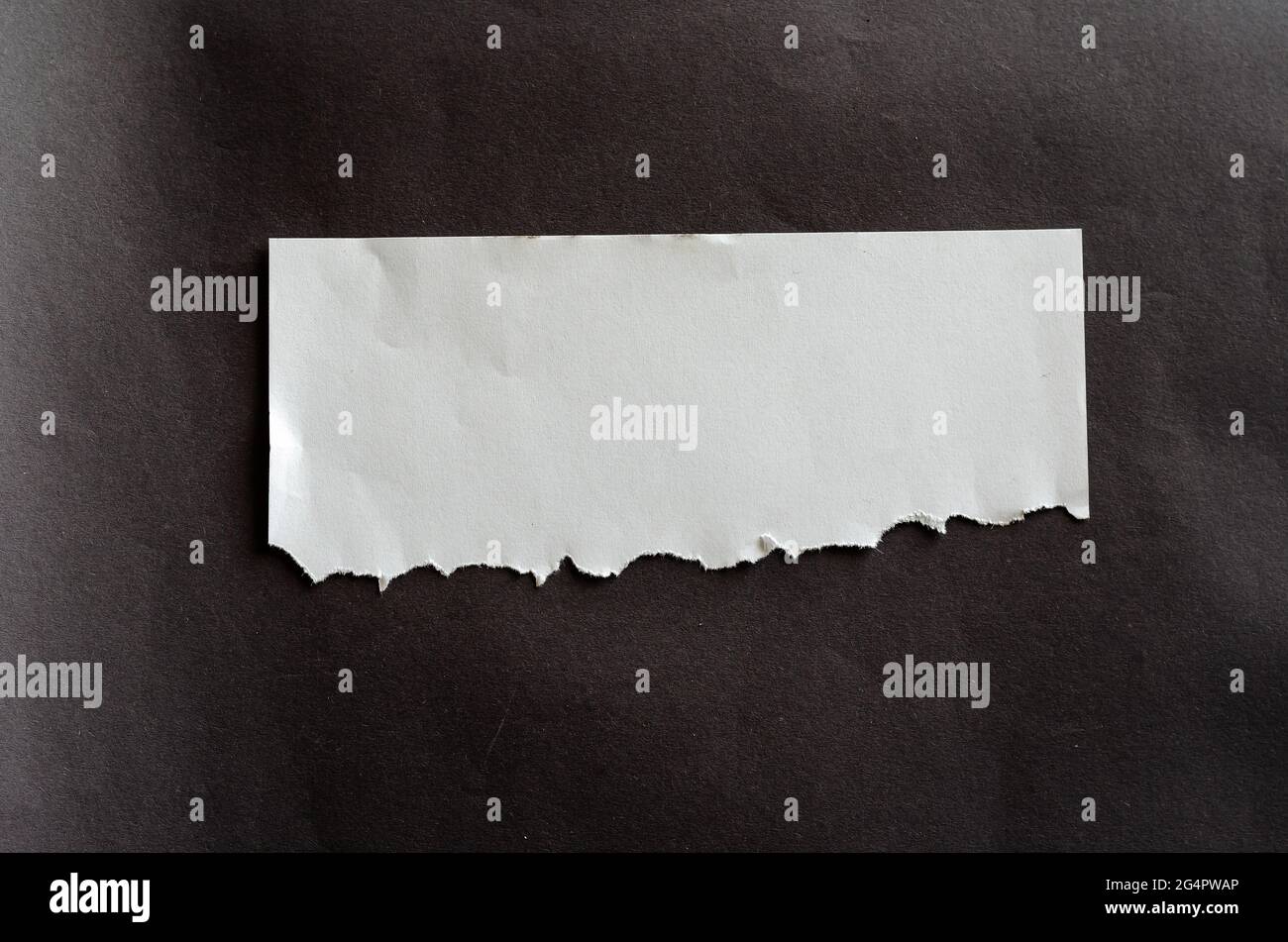 White blank sheet of paper with torn tabs on a gray background ...