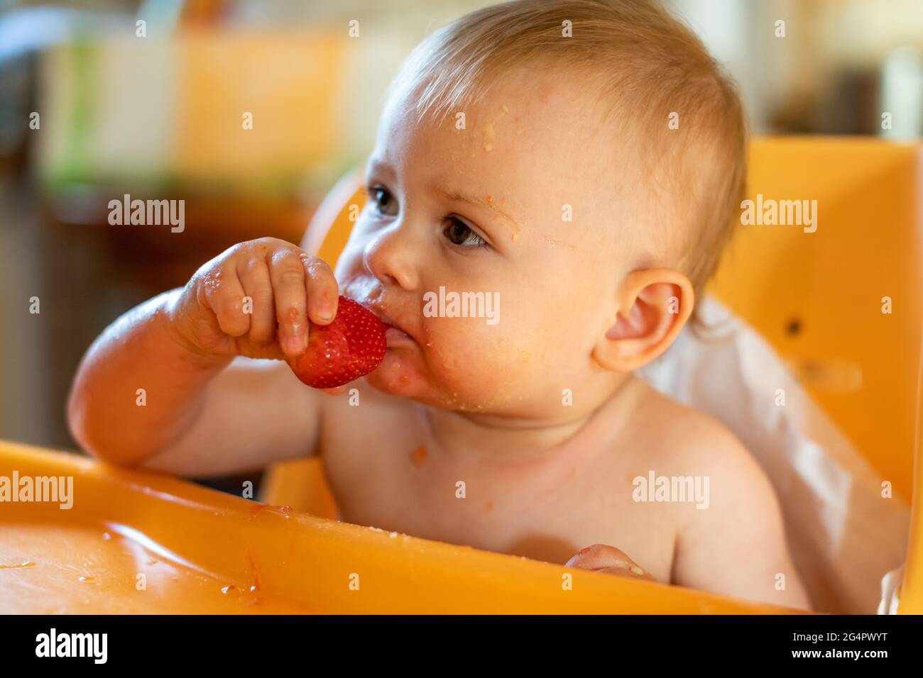 Baby or toddler with dirty face eating strawberry in home kitchen Stock ...